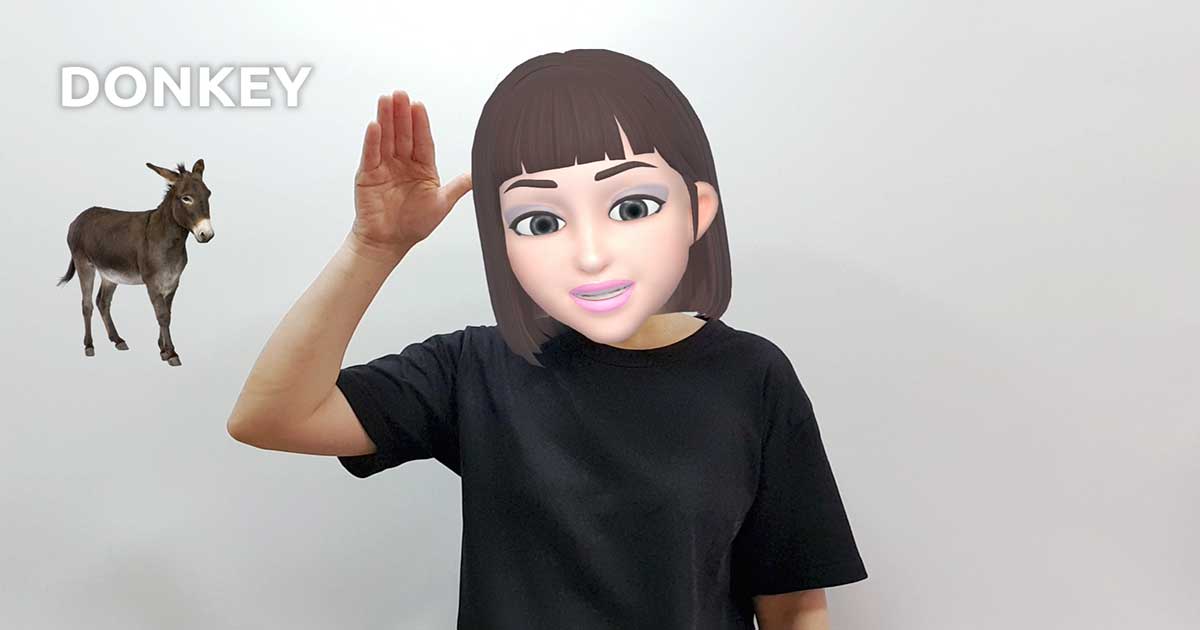 What is the American Sign Language ASL sign for donkey?