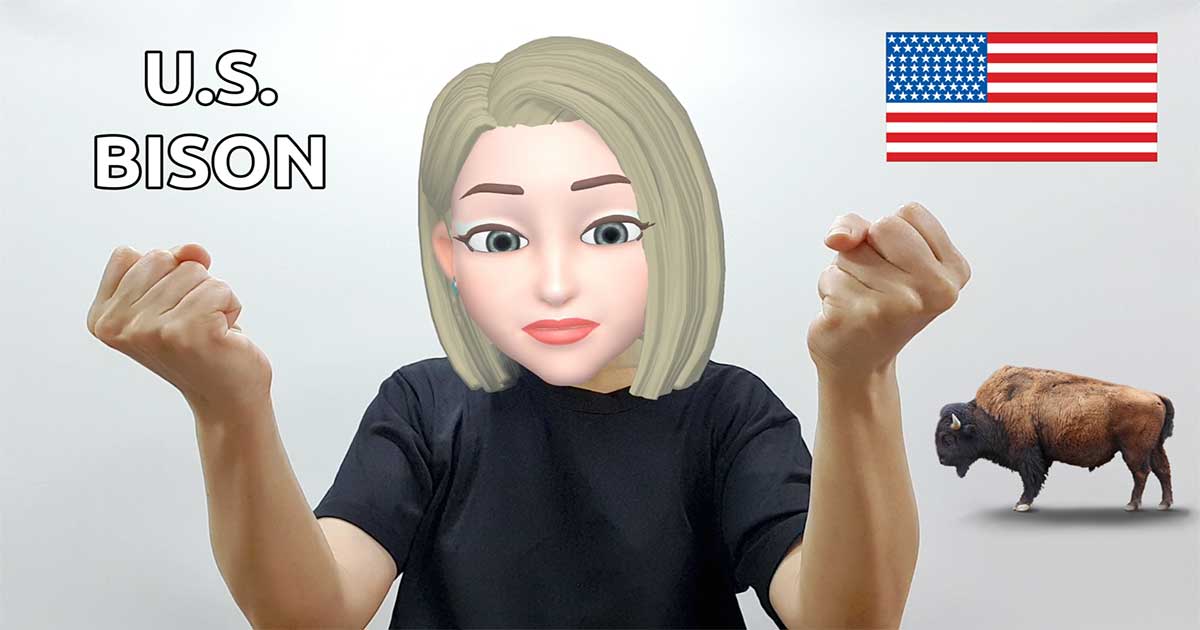 What is the American Sign Language ASL sign for USA bison?