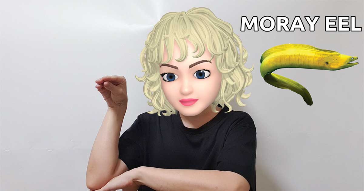 How to say and practice moray eel in scuba diving hand signal?